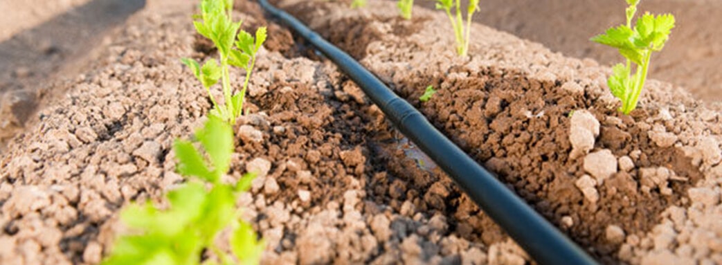 Rivulis Irrigation Products | Online Store | CFS Irrigation Supply