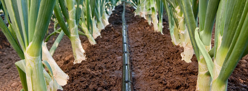 Auburn, NY Drip Irrigation Systems: Tubing & Tape Drippers l CFS