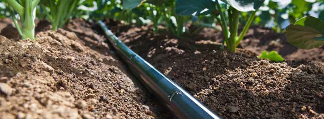 Auburn, NY Drip Irrigation Systems: Tubing & Tape Drippers l CFS