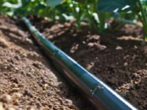 Rivulis Irrigation Products | Online Store | CFS Irrigation Supply